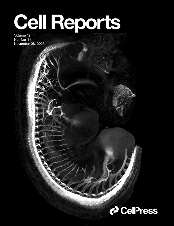 A light-sheet microscopy photo from Nykjaer's lab as new Cell Reports ...
